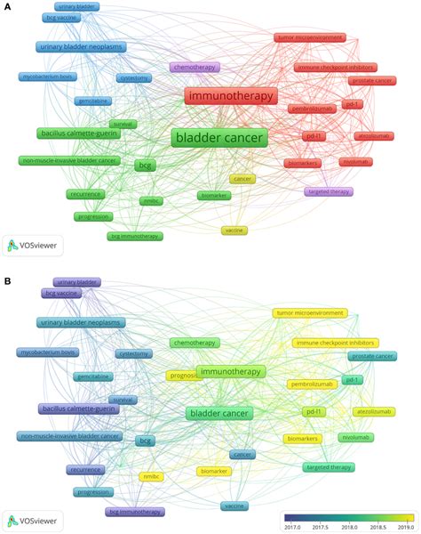 Visual Map Of The Co Occurrence Of Keywords A Keywords Clustering