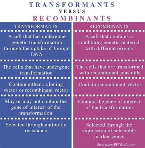What Is The Difference Between Transformants And Recombinants Pediaacom