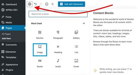 How To Fix Common Image Issue Of WordPress Website Elegant Espace