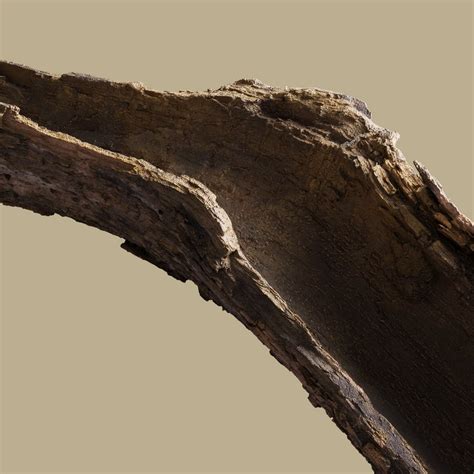 So I Was Working Lately On The Intelligent Slime Mould Some Of You Might Know From The Last Of