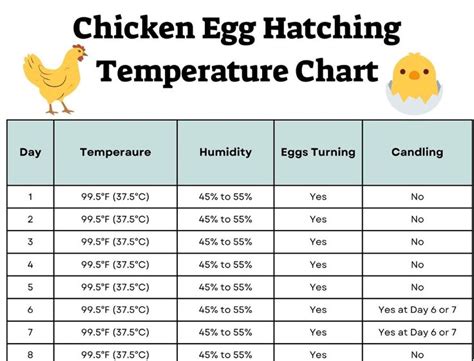 1 New Message In 2025 Temperature Chart Chicken Eggs Hatching