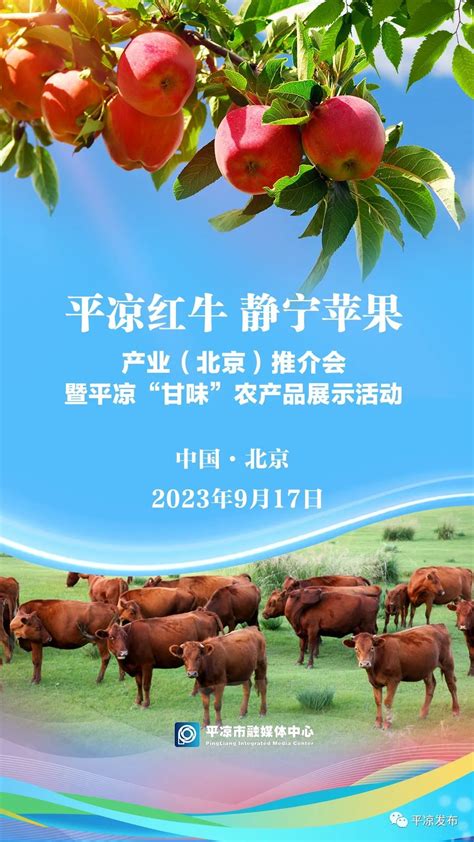 我市将举行平凉红牛、静宁苹果产业（北京）推介会暨平凉“甘味”农产品展示活动澎湃号·政务澎湃新闻 The Paper