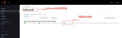 [golang 微服务] 7 go micro框架介绍 go micro脚手架 go micro结合consul搭建微服务案例 csdn博客