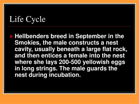 Ppt The Hellbenders Of North Carolina Powerpoint Presentation Free