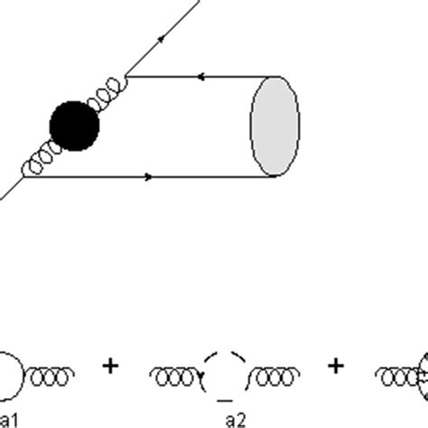 The Vaccum Polarization Graphs Of Qcd A1 Quark Loop A2 Ghost