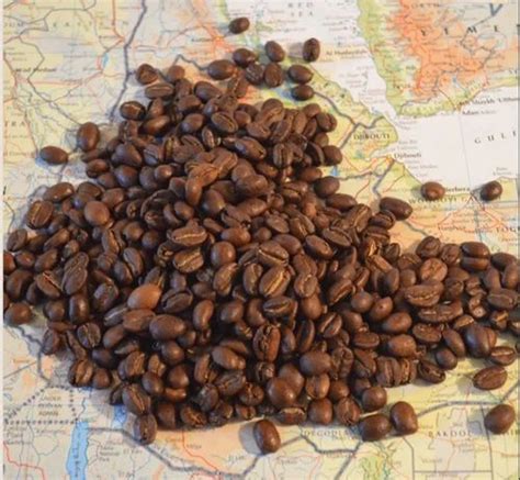Brown Ethiopian Coffee Bean Manufacturer Supplier From Koraput