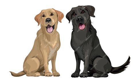 Can Yellow Labs Have Black Puppies