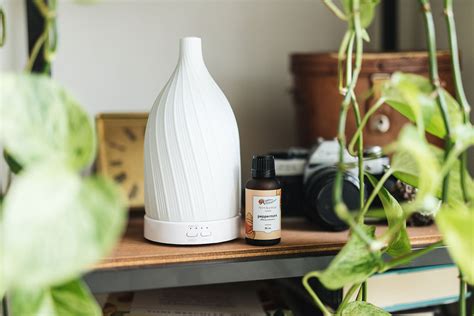 Beautiful Diffusers From Vancouver And One Strange Bonus NUVO