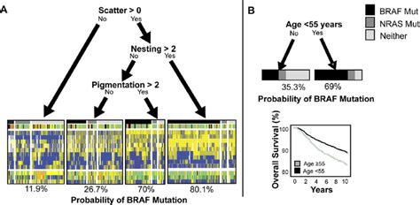 Prediction Algorithms Of Braf Mutation Prediction Trees For Braf Download Scientific Diagram