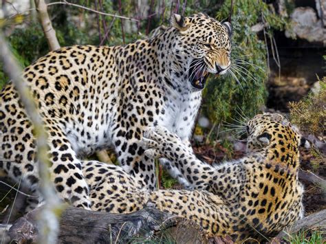 Flickriver Most Interesting Photos Tagged With Sex