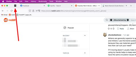 how to get rid of auto pinned tabs r firefox