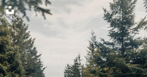 배낭을 멘 남자가 숲 속을 걷고 있습니다 사진 Unsplash의 무료 하르츠 국립공원 이미지