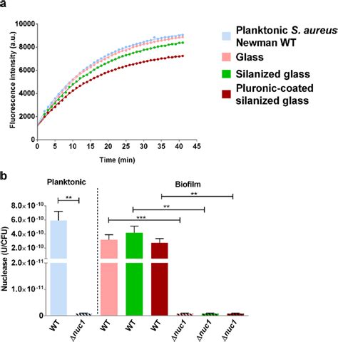 Nuclease Activity Is Reduced During Biofilm Formation A Fluorescence Download Scientific