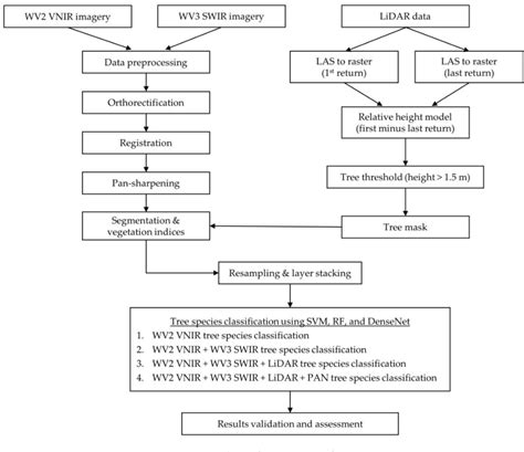 Figure 1 From Urban Tree Species Classification Using A Worldview 23
