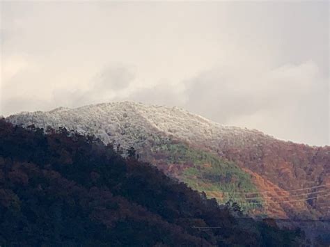 坐骨神経痛【漢方改善例】 ｜ 漢方の本陣薬局