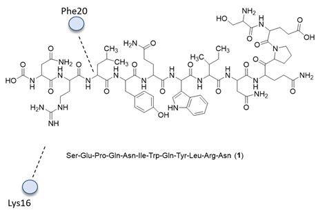 Computer Assisted Design Of Peptide Based Radiotracers