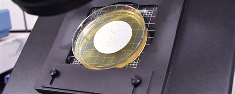 Bioburden Testing Eurofins Medical Device Testing