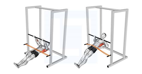 Inverted Row Guide Benefits And Form