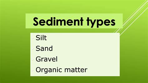 Sediment Types Connerisnotin Page 1 5 Flip Pdf Online Pubhtml5