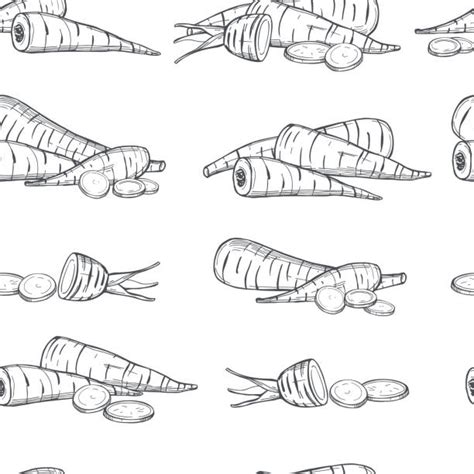 910 Parsnip Stock Illustrations Royalty Free Vector Graphics And Clip Art Istock