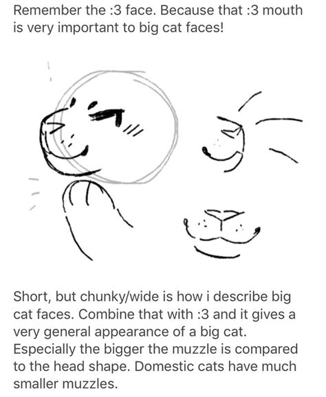 Cat Drawing Tutorial Learn To Draw Cats With Easy Steps