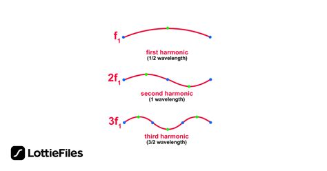 Free Harmonics Music Physics Animation By Joana Barreira Lottiefiles