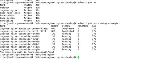 Kubernetes使用ingress Nginx流量代理ingress Label 导流量 Csdn博客