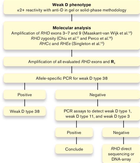 Workflow Used For The Molecular Investigation Of Brazilian Donors With Download Scientific