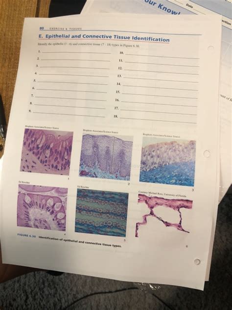 Solved Date Section Reviewing Your Knowledge Exercise 6 A