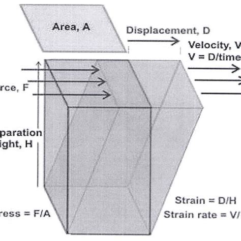 13 Polymer Chain Entanglement In Dispersions Macosko 1994