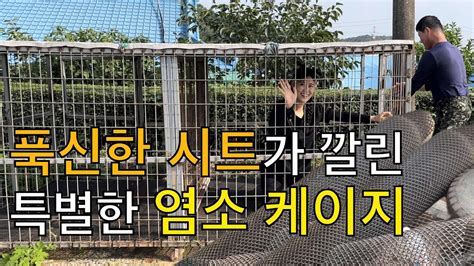 장거리 이동 시 염소 스트레스 확 낮추는 ⬇️⬇️ 안전하고 편안한 염소 케이지 공개 🤫 플라스틱 그물망으로 염소를 안전하게 옮겨주세염 ⛑️⛑️ Youtube