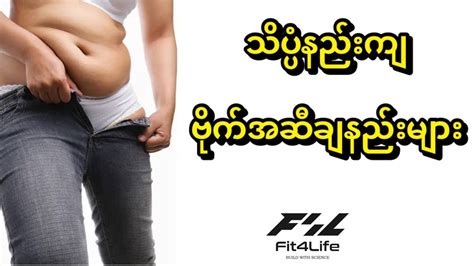 သိပ္ပံနည်းကျ ဗိုက်အဆီချ နည်းလမ်းများ Youtube