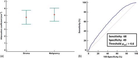 Needle Based Optical Coherence Tomography For The Detection Of Prostate Cancer A Visual And