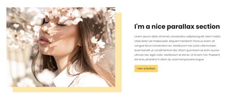 How To Create Parallax Effects Using Rellaxjs In Bricks Brickslabs