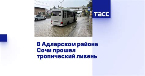 В Адлерском районе Сочи прошел тропический ливень