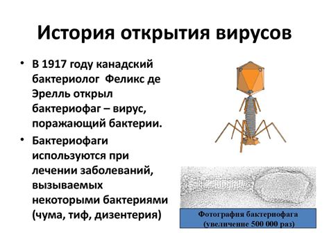 Вирусы неклеточные формы жизни презентация онлайн