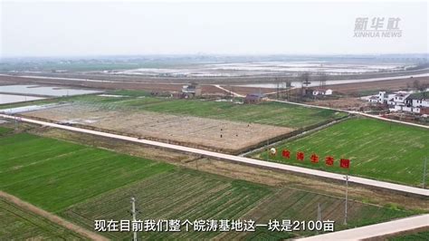 新农人春耕记 凤凰网视频 凤凰网