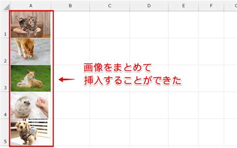エクセルの画像を一括選択・全選択してまとめて操作する方法