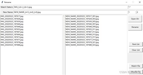 分享 文件批量重命名 Pythonpy 批量改名csdn Csdn博客