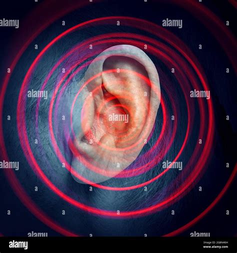 Inner Ear Hi Res Stock Photography And Images Alamy