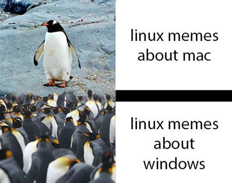 R Linuxmeme Users Scrolller