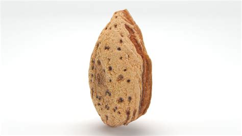 3d Almond Shell 01 Turbosquid 1999133