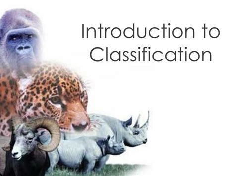 Ppt Introduction To Classification Powerpoint Presentation Free