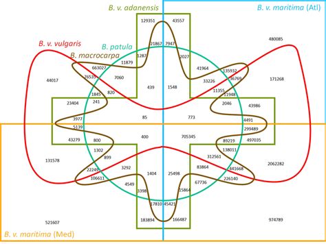 Venn Diagram Of Shared And Private Single Nucleotide Variants Snvs