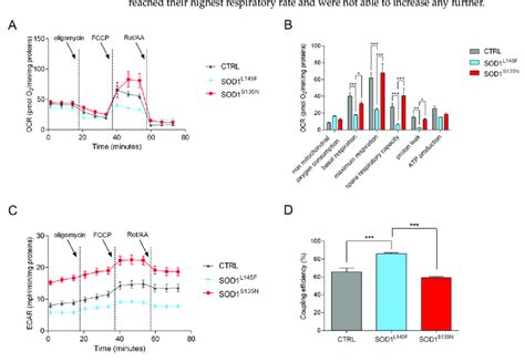 Mitochondrial Functionality Ocr A And Ecar C Traces Expressed As Download Scientific