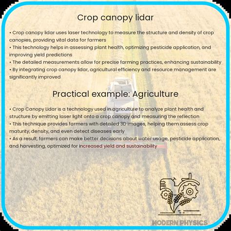Crop Canopy Lidar Precision Yield Boost And Data Driven