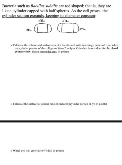 Solved Bacteria Such As Bacillus Subtilis Are Rod Shaped