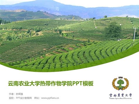 云南农业大学热带作物学院ppt模板下载ppt设计教程网