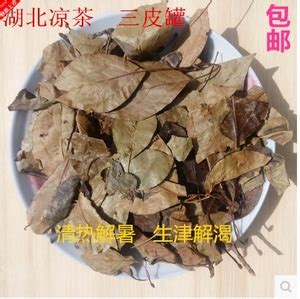湖北农村的大叶子茶湖北像树叶一样的茶大叶子茶第19页大山谷图库