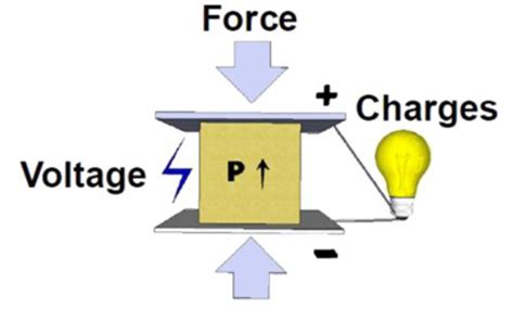 Piezoelectric Sensor Experiment At Arlene Jordan Blog